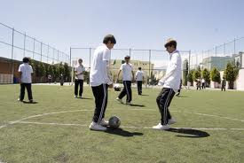 LA JOURNALE D' INEDIB