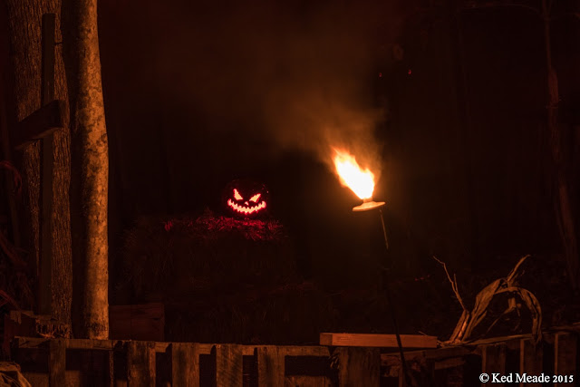 Something wicKED this way comes....: Taking a Wicked Walk Through The ...