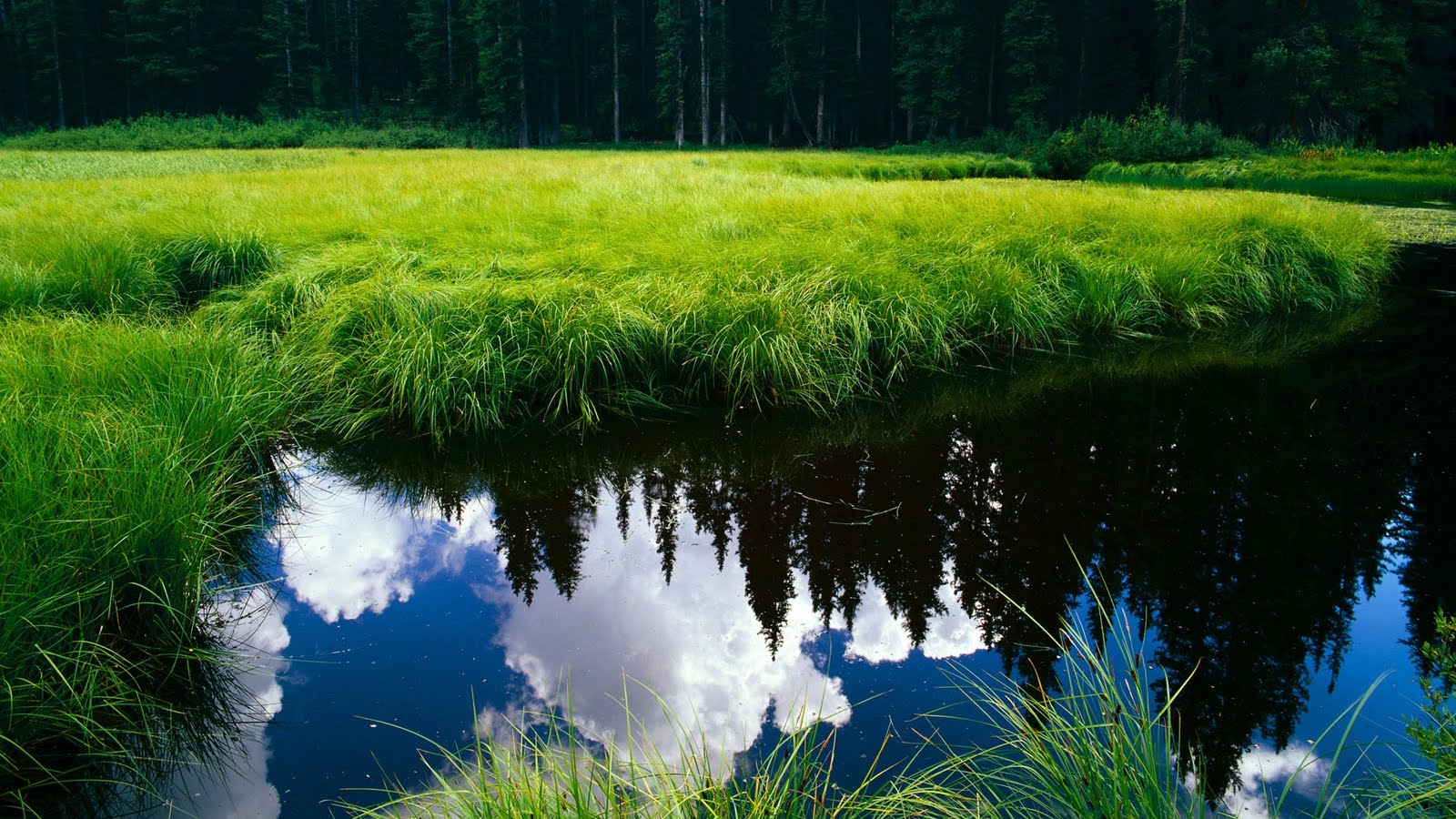 Natuur Achtergronden