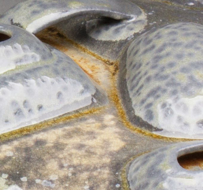 February 24th - 26th 2022 : Stephen Robison