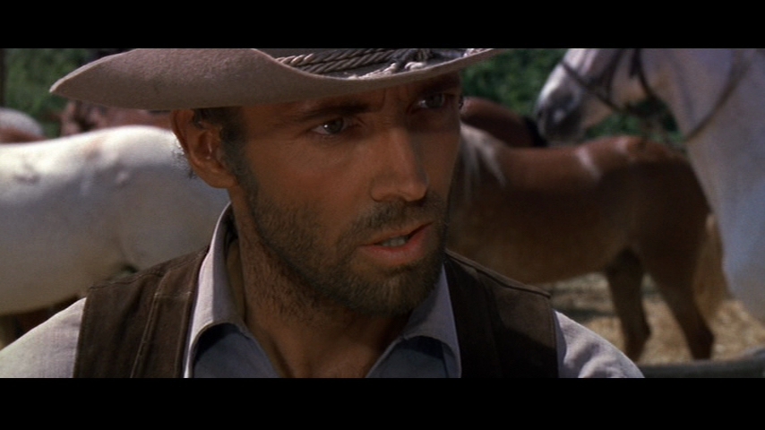 Tube Dreams: Spaghetti and Beefcake