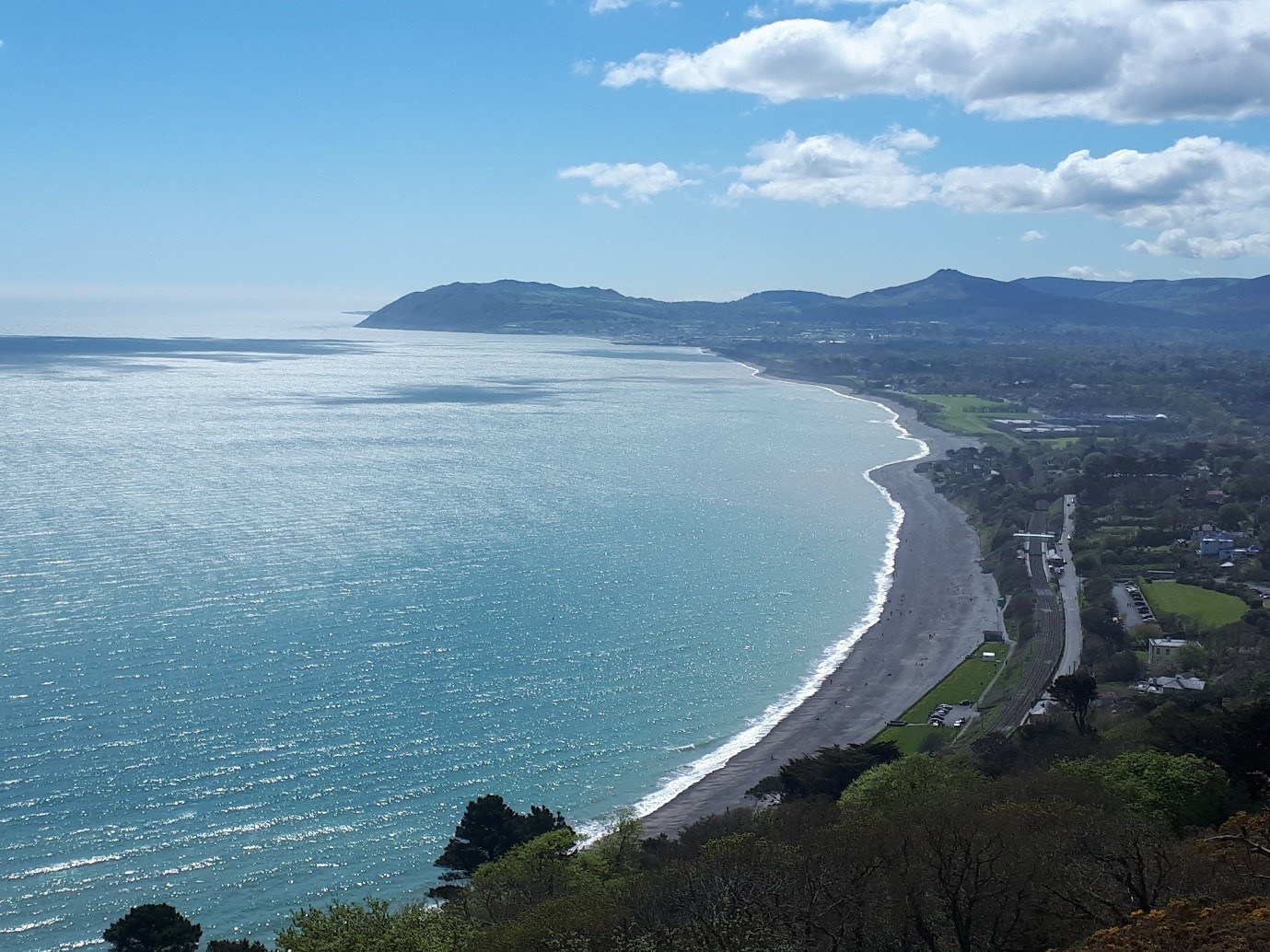 BSBI News & Views: Killiney Hill Park - Sunshine and Some Irish ...
