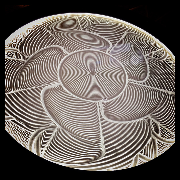 Art Room 161: Digital Media: Coding