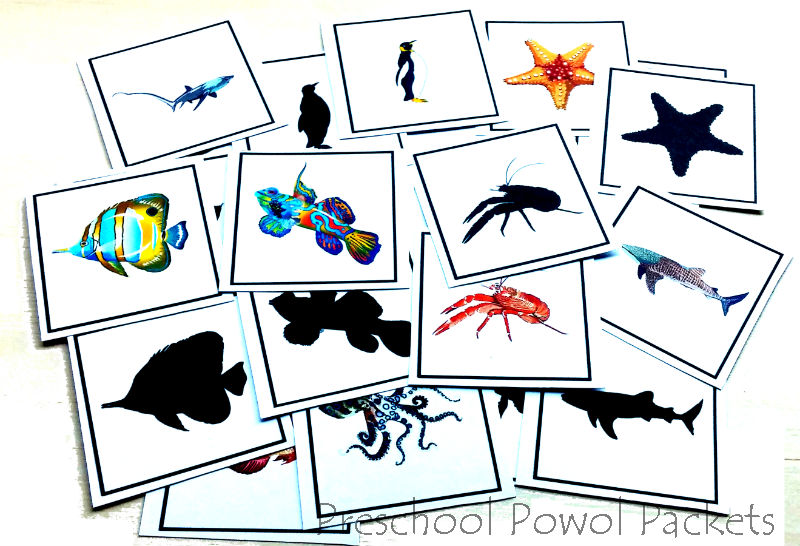Ocean Animals Shadow Matching Cards Preschool Activity | Preschool ...