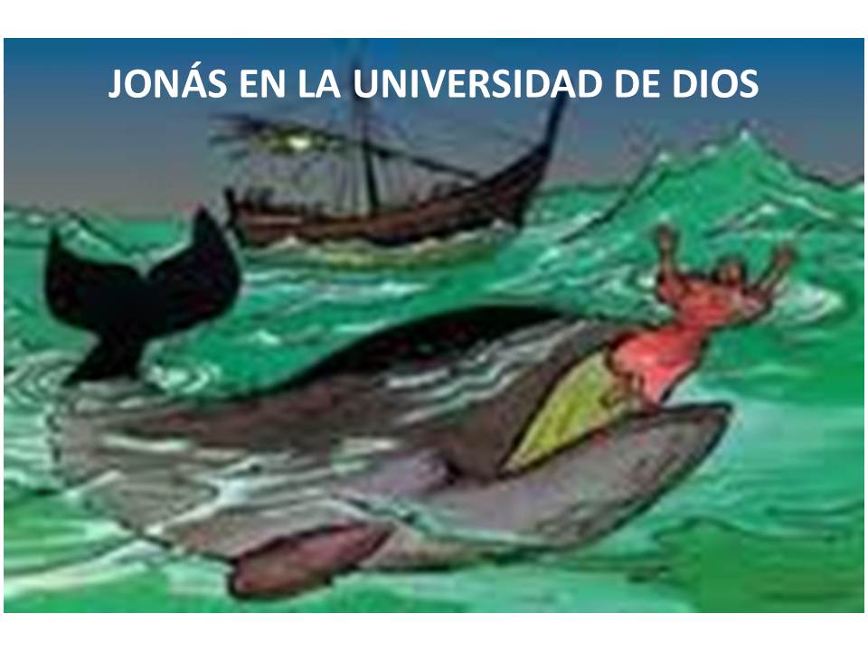 COMENTARIO BIBLICO DEVOCIONAL