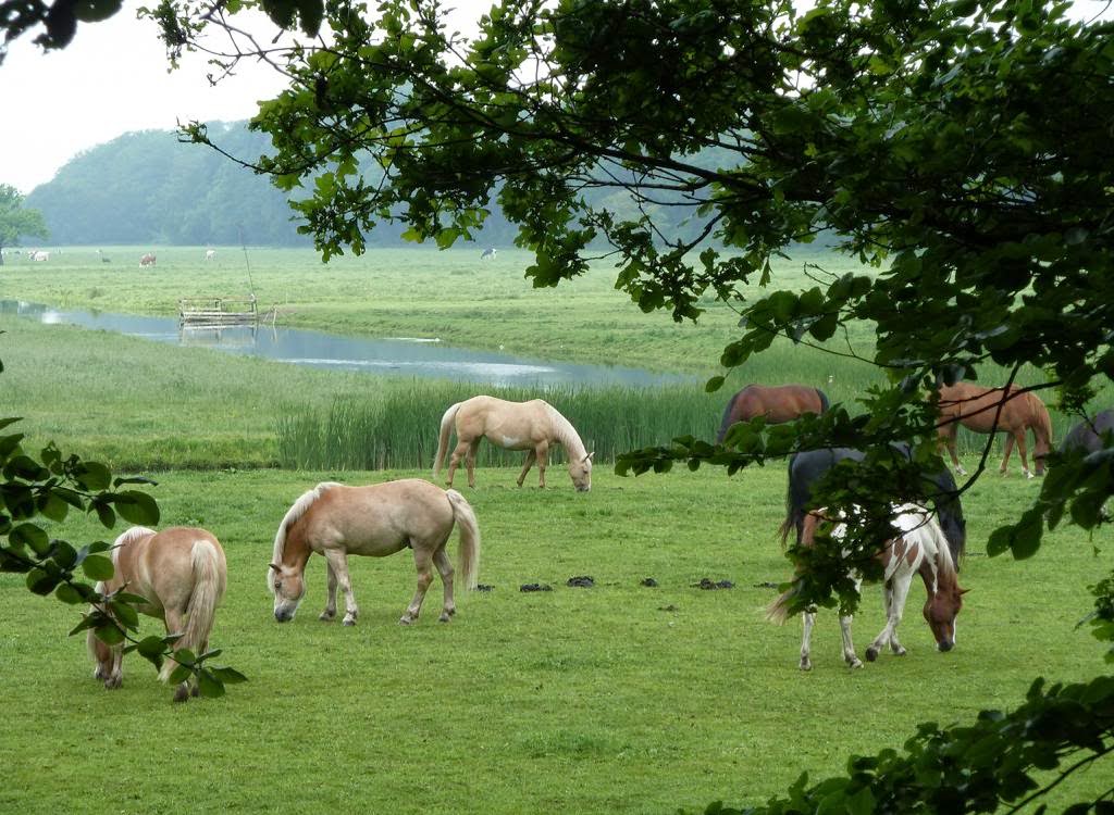 Catatan Hati Seorang Wanita