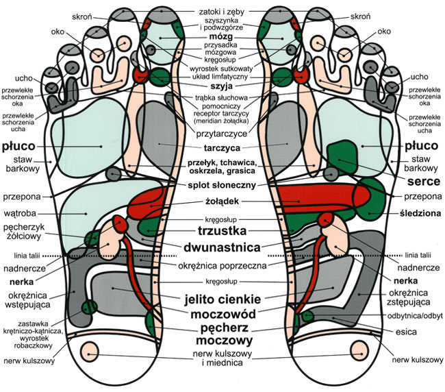 REFLEKSOTERAPIA - przez stopy do zdrowia: Czytanie ze stóp