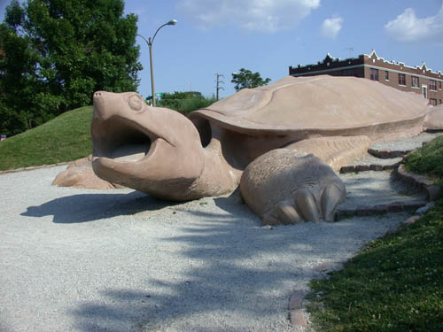 Play St. Louis: Turtle Playground, St. Louis