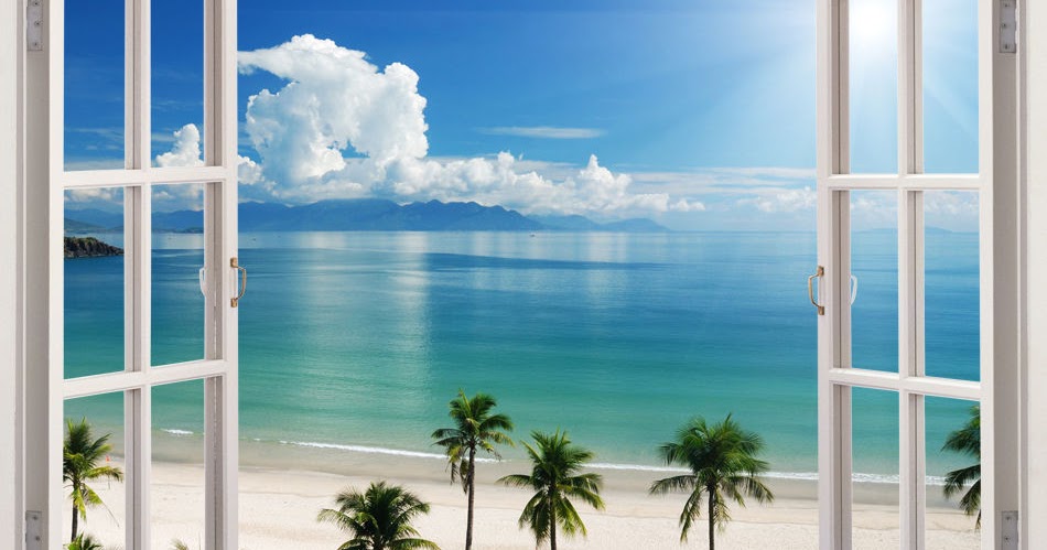 View outside my window