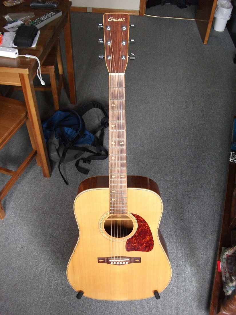 Marcel van Oort's Guitars and Equipment: 1970s Chaser Martin D-28 Copy