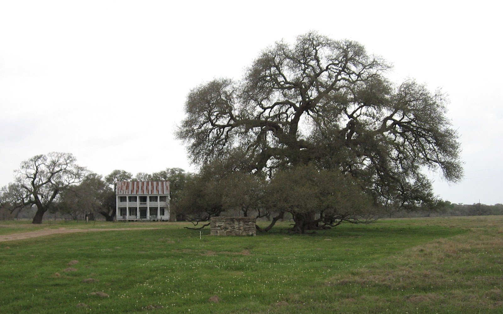 Meander and Gander: Texas Army's Route from Gonzales to San Felipe ...