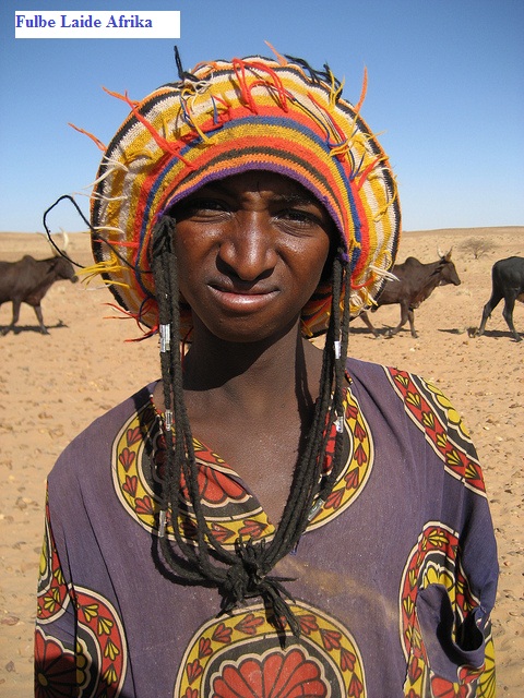 Fulbe Laide Afrika