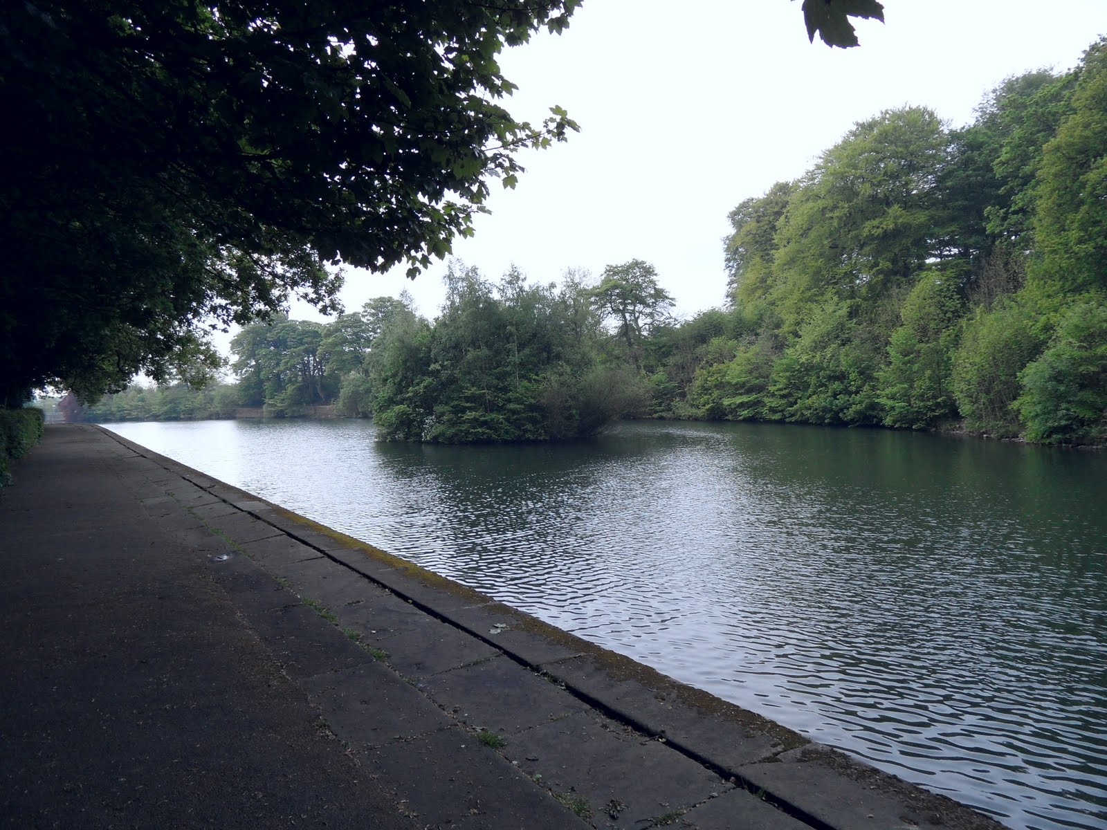Dannysbirds: Chellow Dene Reservoirs