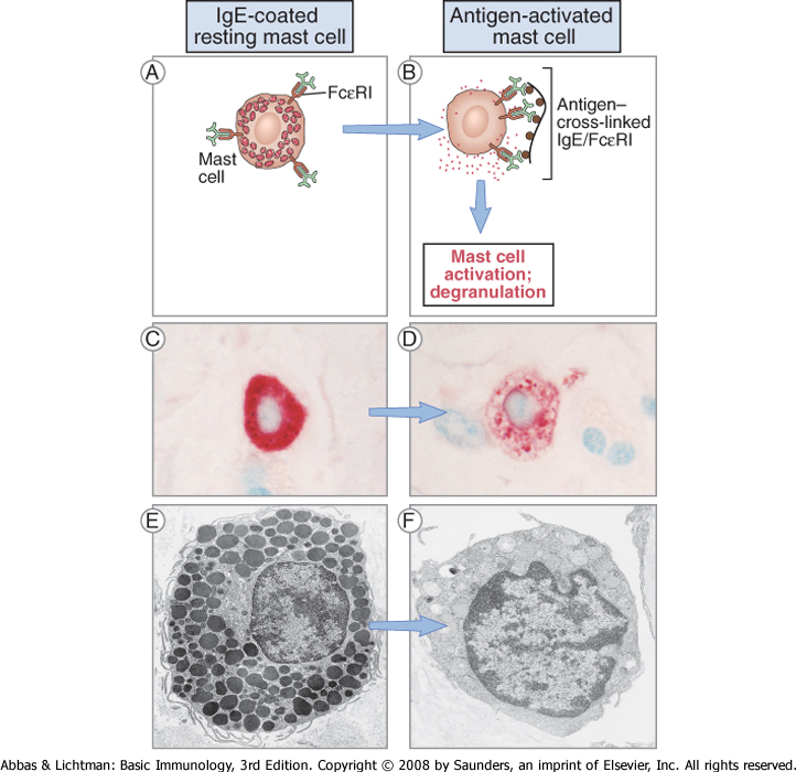 Biochemistry Class notes: 2012