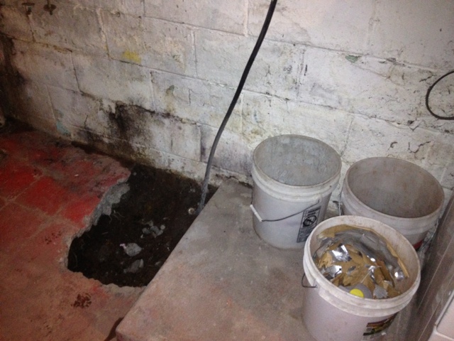 Morningside Renovation Project #2