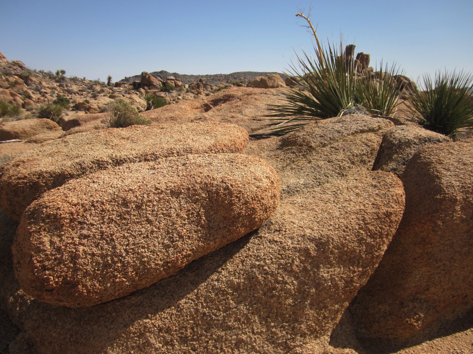 Smoky Scout's Hiking Adventures: Joshua Tree NP - North View & Maze ...