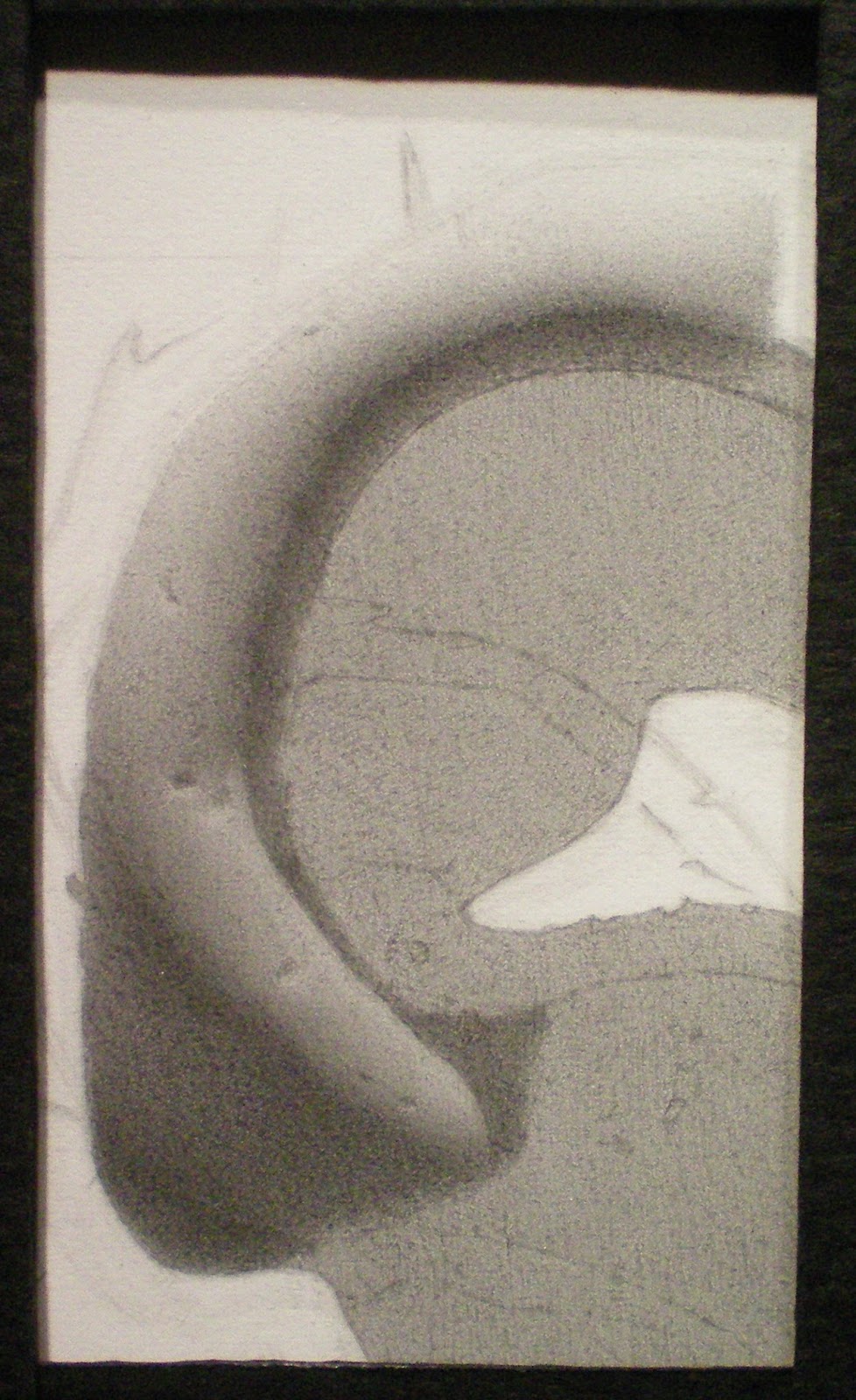 ARTHUR HAYWOOD: Ear Cast Drawing Process, Part 1