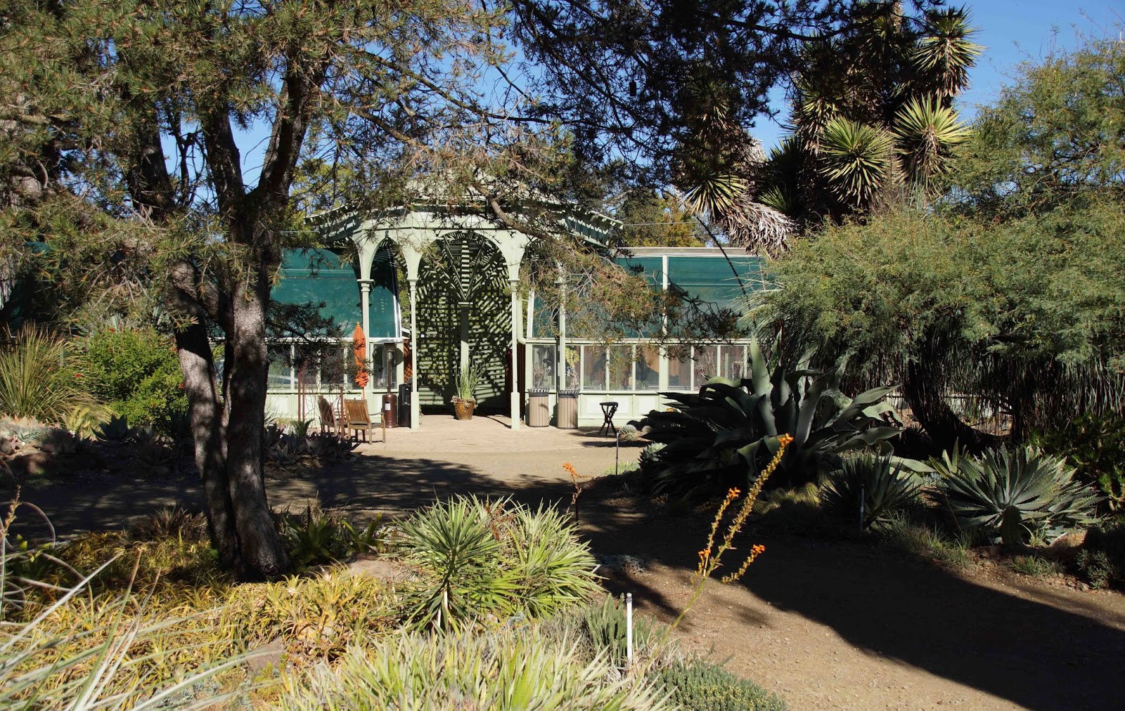 A Visit To Ruth Bancroft Garden