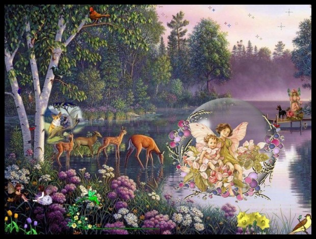 VER PARA HACER: CAMPO ENCANTADO