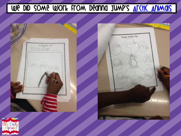 All About Penguins - The Daily Alphabet