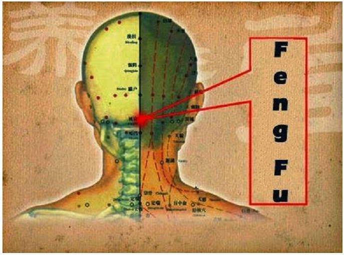 El kyusho: Feng Fu