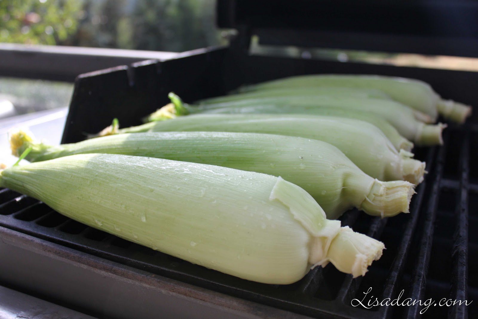 Dang It Delicious: Grilling Corn on the Cob on a Gas Grill