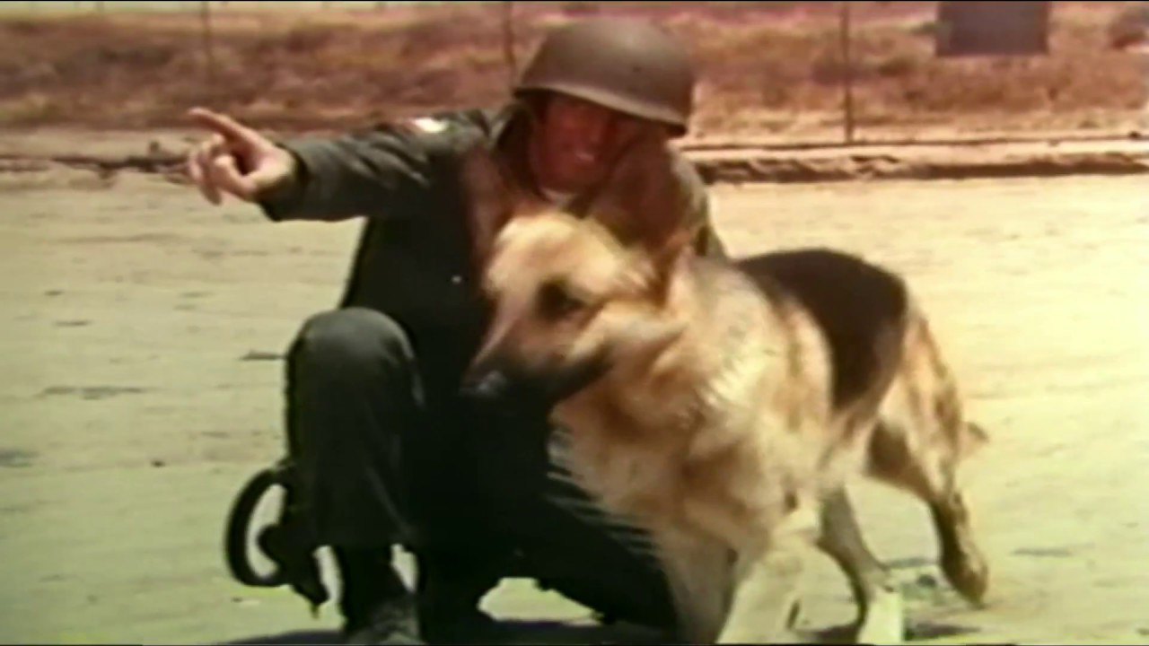 SATURDAY MORNINGS FOREVER: RUN, JOE, RUN