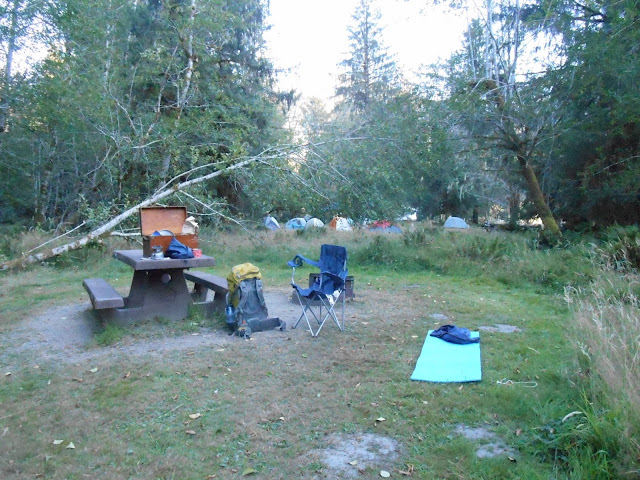 Val-Di-Ree: Hoh River Hike August 15-21, 2016