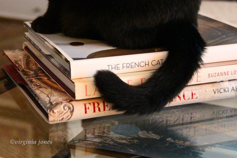 Paris Through My Lens: Meeps Guest Blogger - Cat Tales