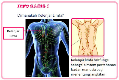 CikGu ReMy: [Quick Revision] F3 - Chapter 2