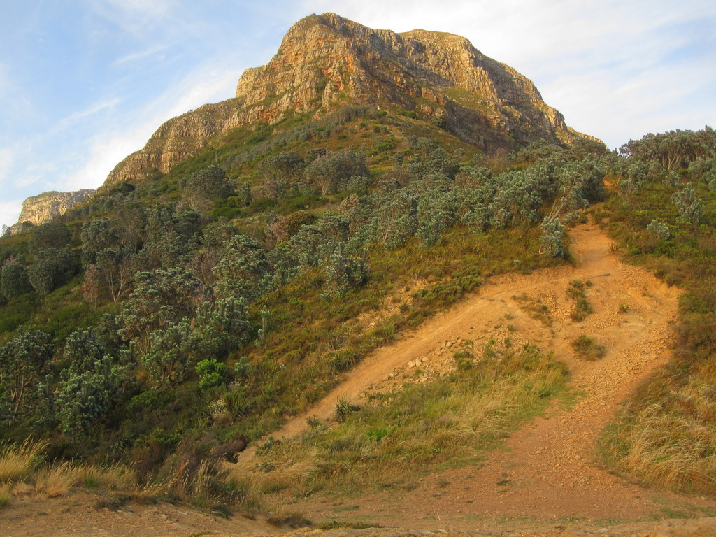 Newlands Forest Trail Run