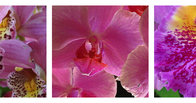 WIFELIFE: Spring Orchid Makeup Tutorial (video)