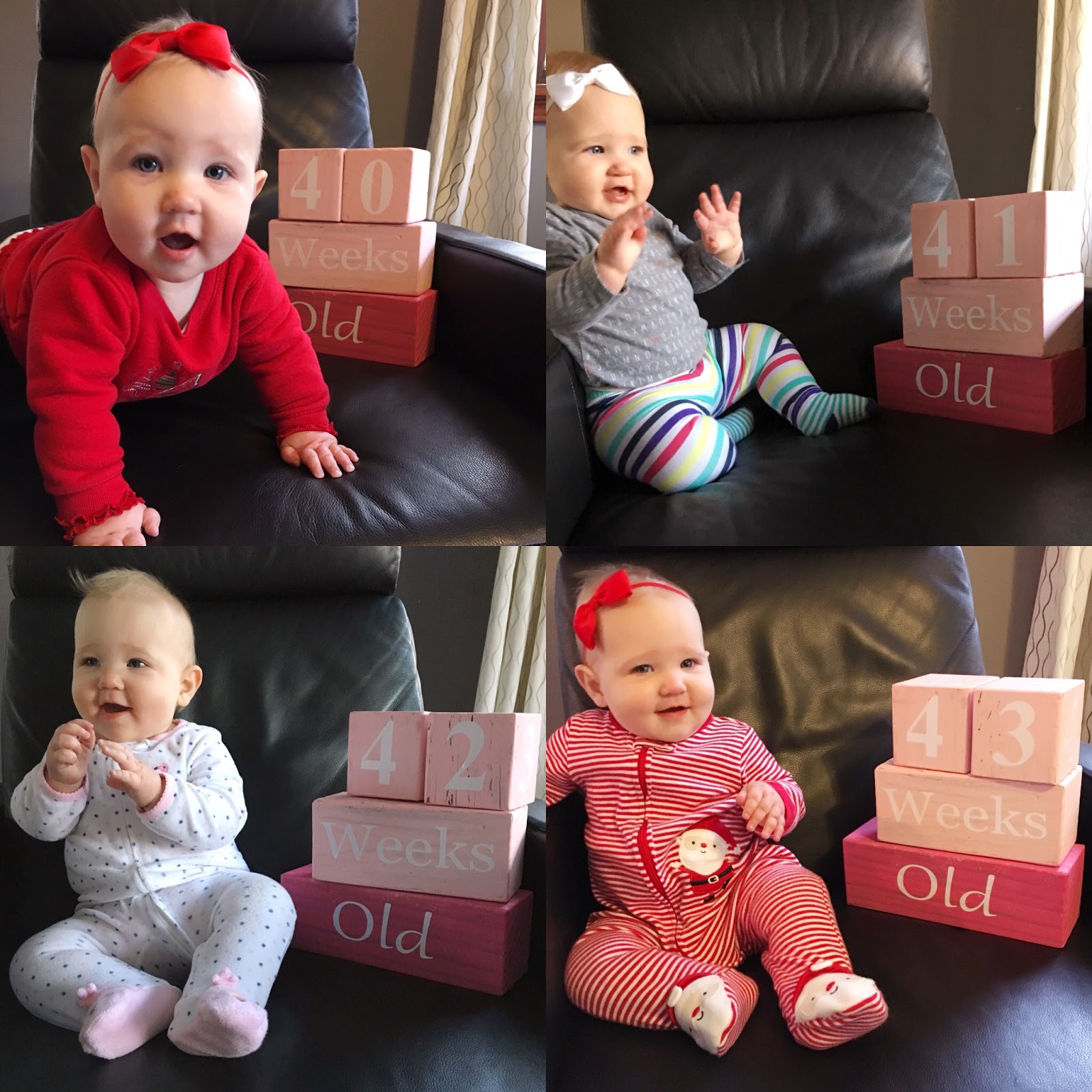 Alex & Abby: December 2016