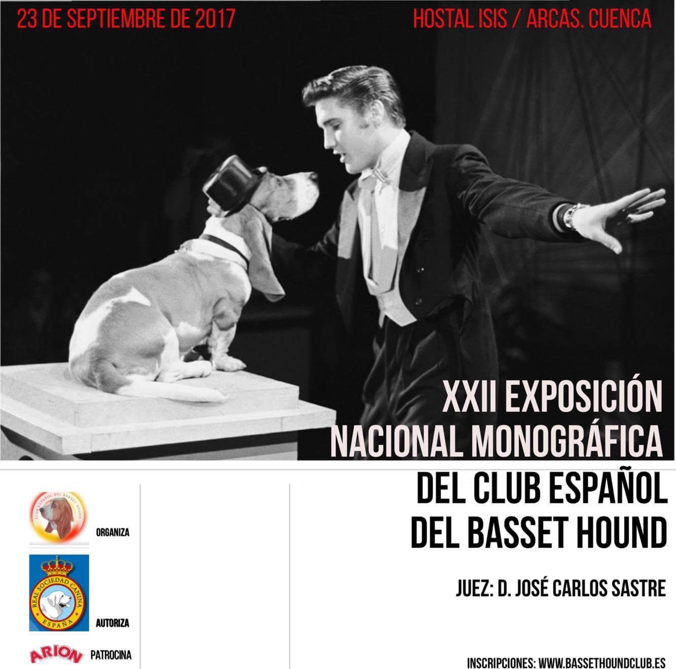 Abierto el plazo de inscripción a la XXII Exposición Nacional ...