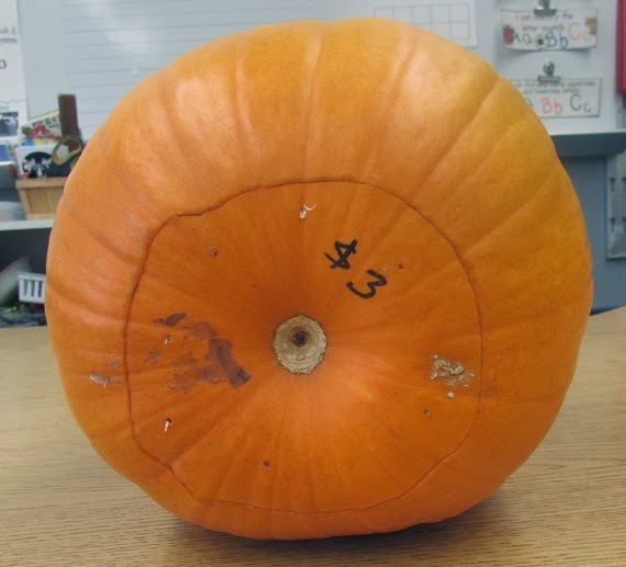 Kindergarten: Holding Hands and Sticking Together: Our Magic Pumpkin!