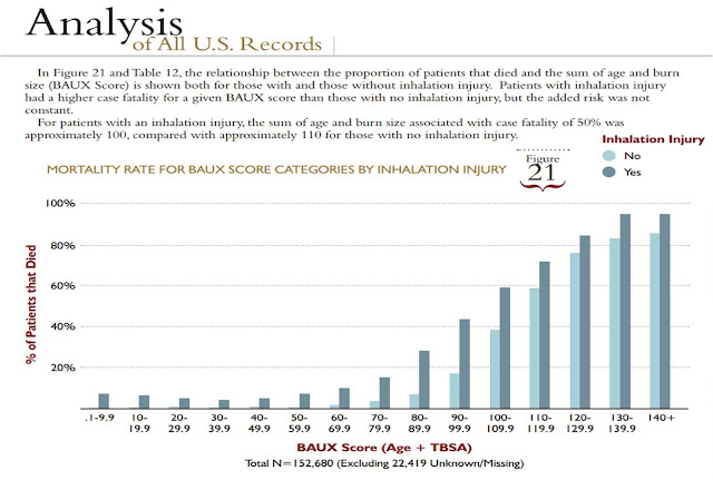 Mortality of Burn - Recent Literature Review ~ 大醫院小醫師之整外遊俠