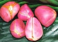 SEGREDO DAS FOLHAS: OBÍ