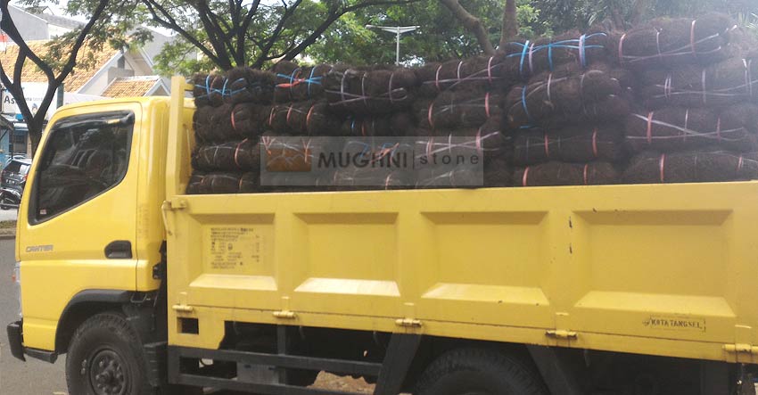 Disini ! Jual Ijuk Harga Lebih Murah (Kirim Cepat keJabodetabek) - JUAL ...