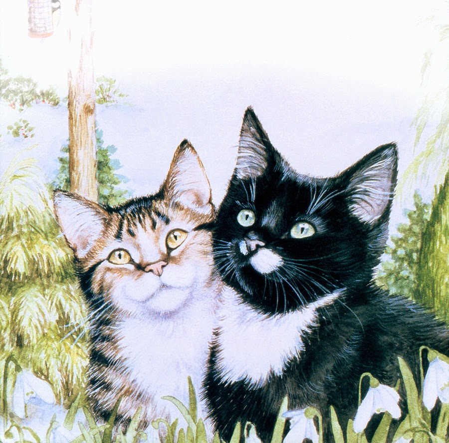 Fine Art : Artworks by Debbie Cook