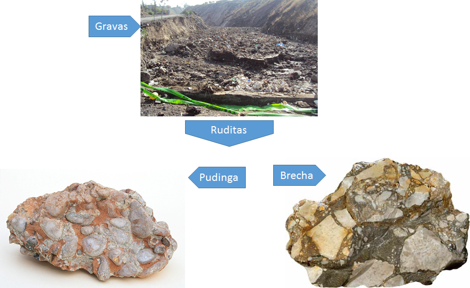 ¿Entiendes la ciencia?: Las rocas sedimentarias