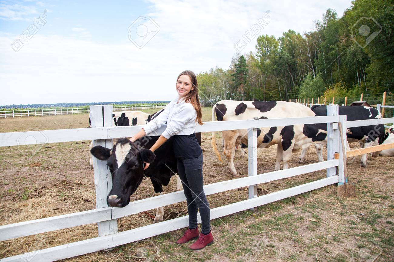 GEOGRAFI LINGKUNGAN: SAPI : HEWAN TERNAK POPULER DAN JENIS JENIS YANG ...