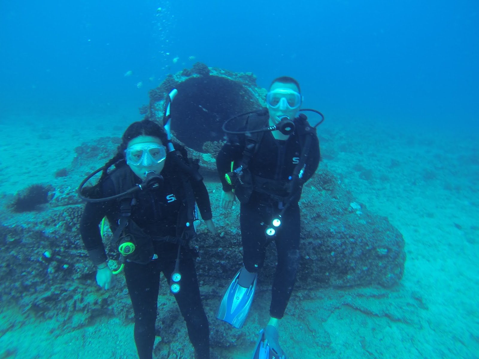 Rainbow Scuba Diving Hawaii: PADI Open Water Course, Hawaii SCUBA