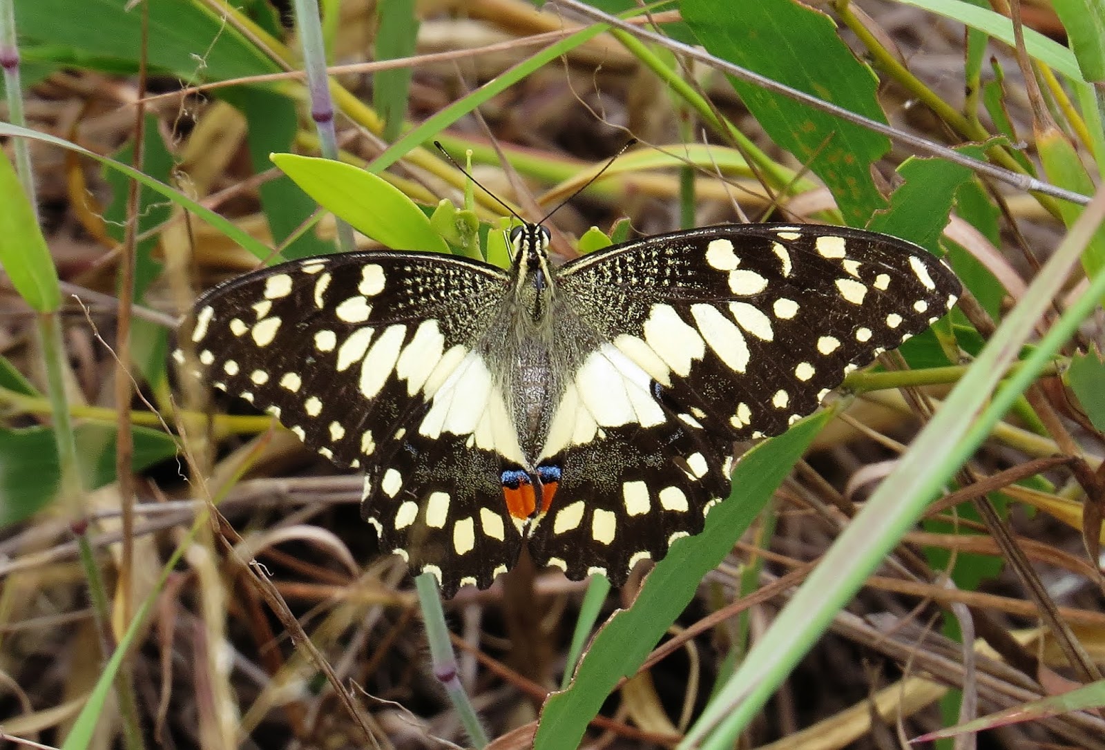 Suburb Guide: Keperra