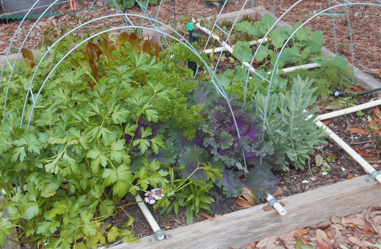 Garden Gadgets Deluxe: Super Hoops Set of Six Square Foot Gardens