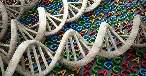 Dig Deeper: Creation Moment 3/22/2017 - Jumping Genes