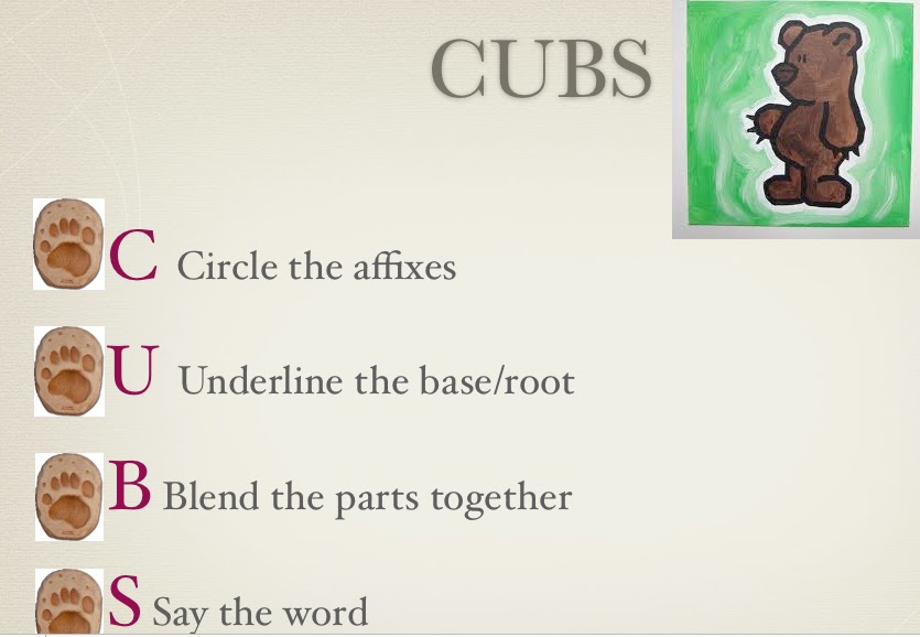 Unlocking Literacy Success!: The CUBS Strategy