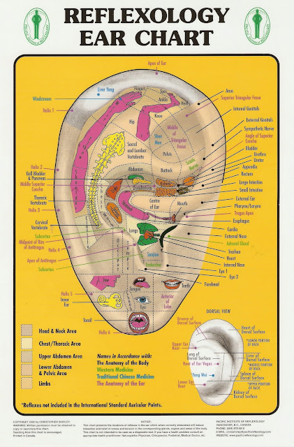 HEALING WAYS: REFLEXOLOGY EAR CHART