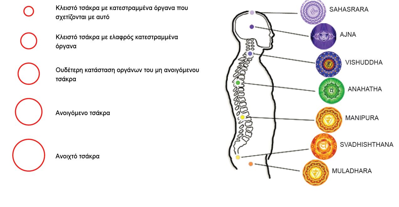 Η ΔΙΑΓΝΩΣΗ ΜΕ ΒΙΟΣΥΝΤΟΝΙΣΜΟ εύκολη για τον ΚΑΘΕΝΑ - Η ΔΙΑΔΡΟΜΗ