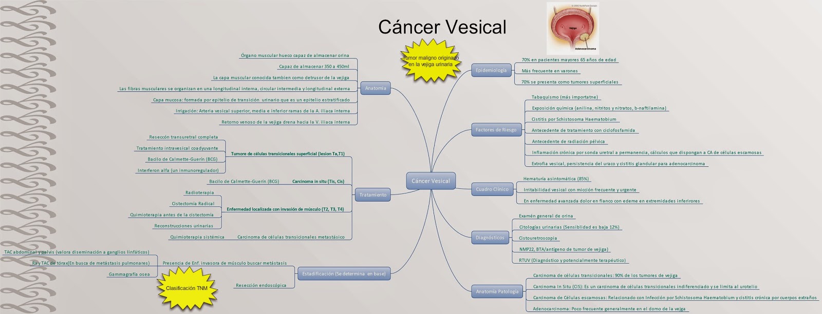 Post-Grado de Cirugía Hospital Roosevelt: CANCER DE VIAS URINARIAS