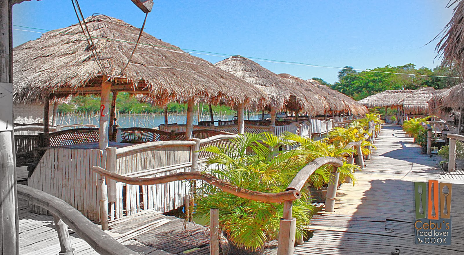 Cebu's Food Lover and Cook: CO JORDAN TALABA / BANGUS FARM ...